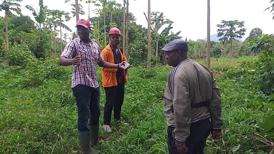 Services – AGRO-IMPACT